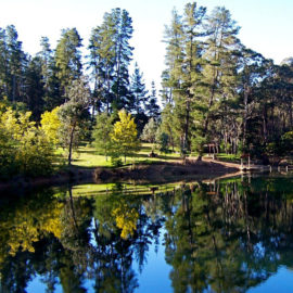 Homepage - Harrietville